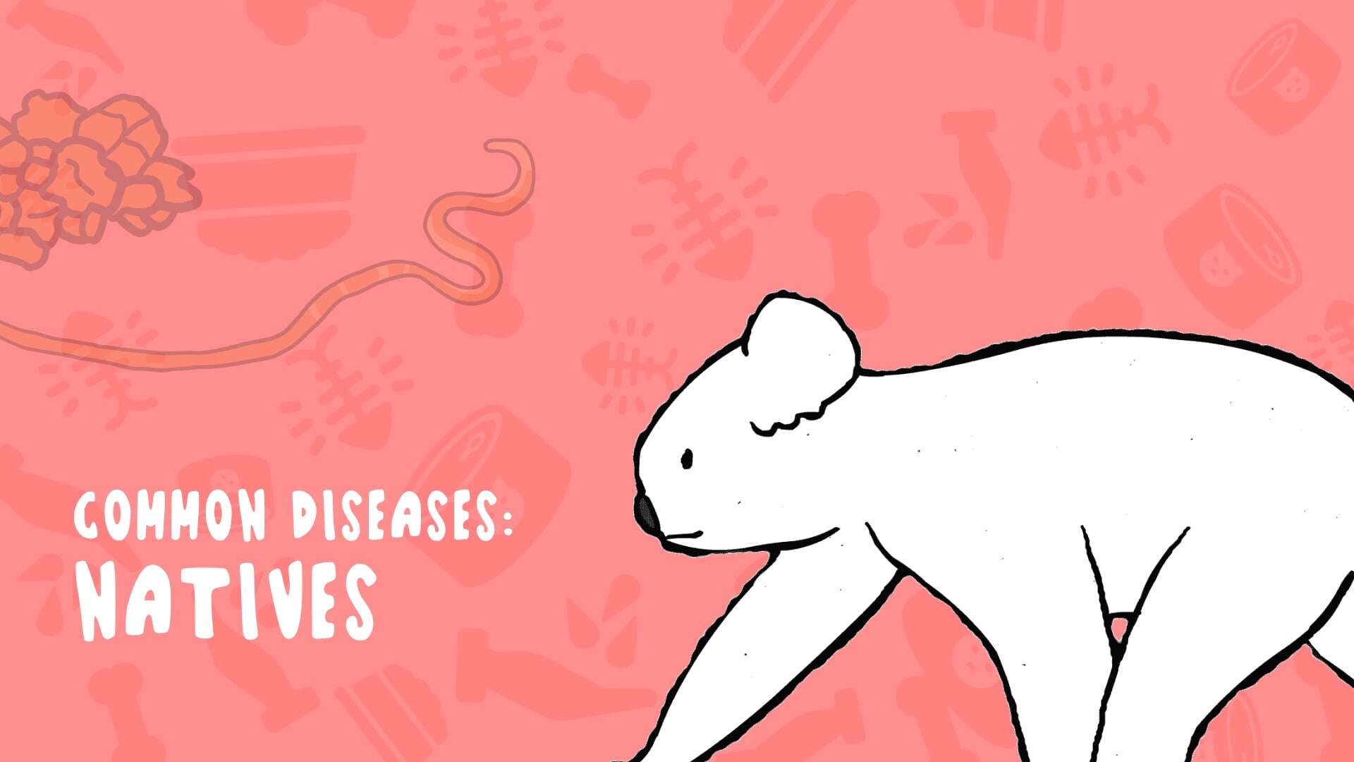 Understanding and Managing Common Animal Diseases