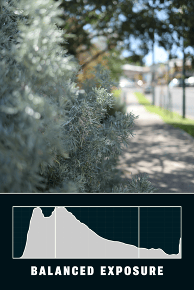 A Deep Dive into Camera Manual Mode Settings for Perfect Exposures