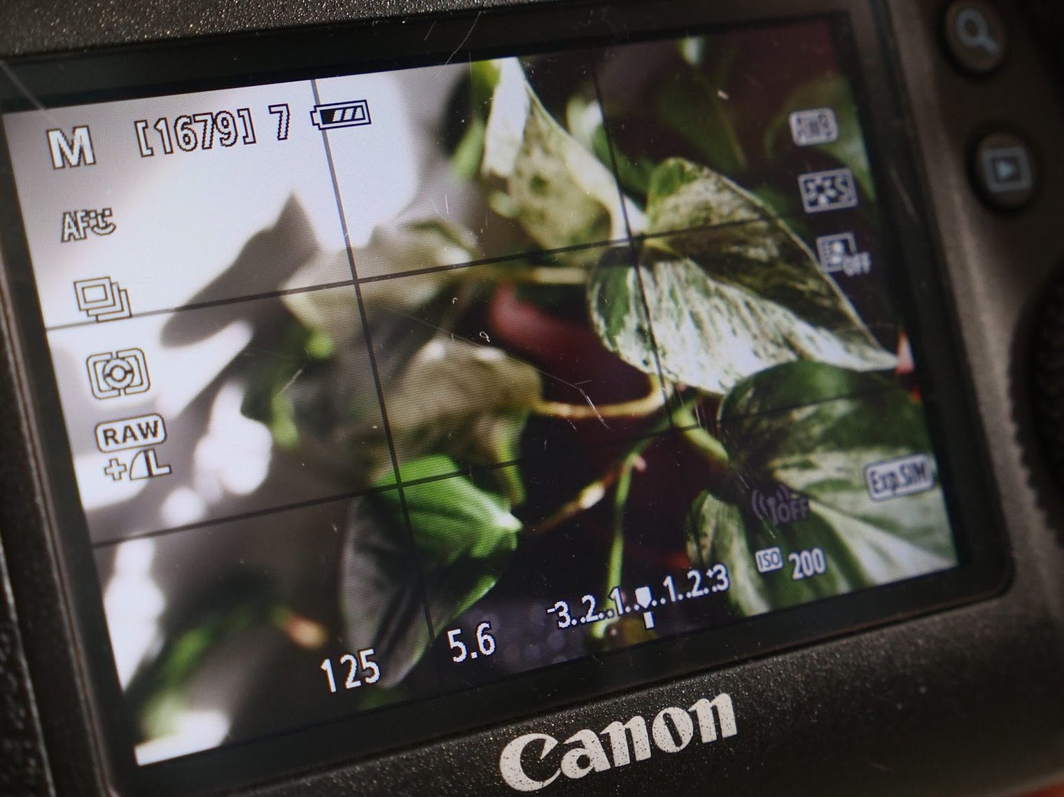 A Deep Dive into Camera Manual Mode Settings for Perfect Exposures